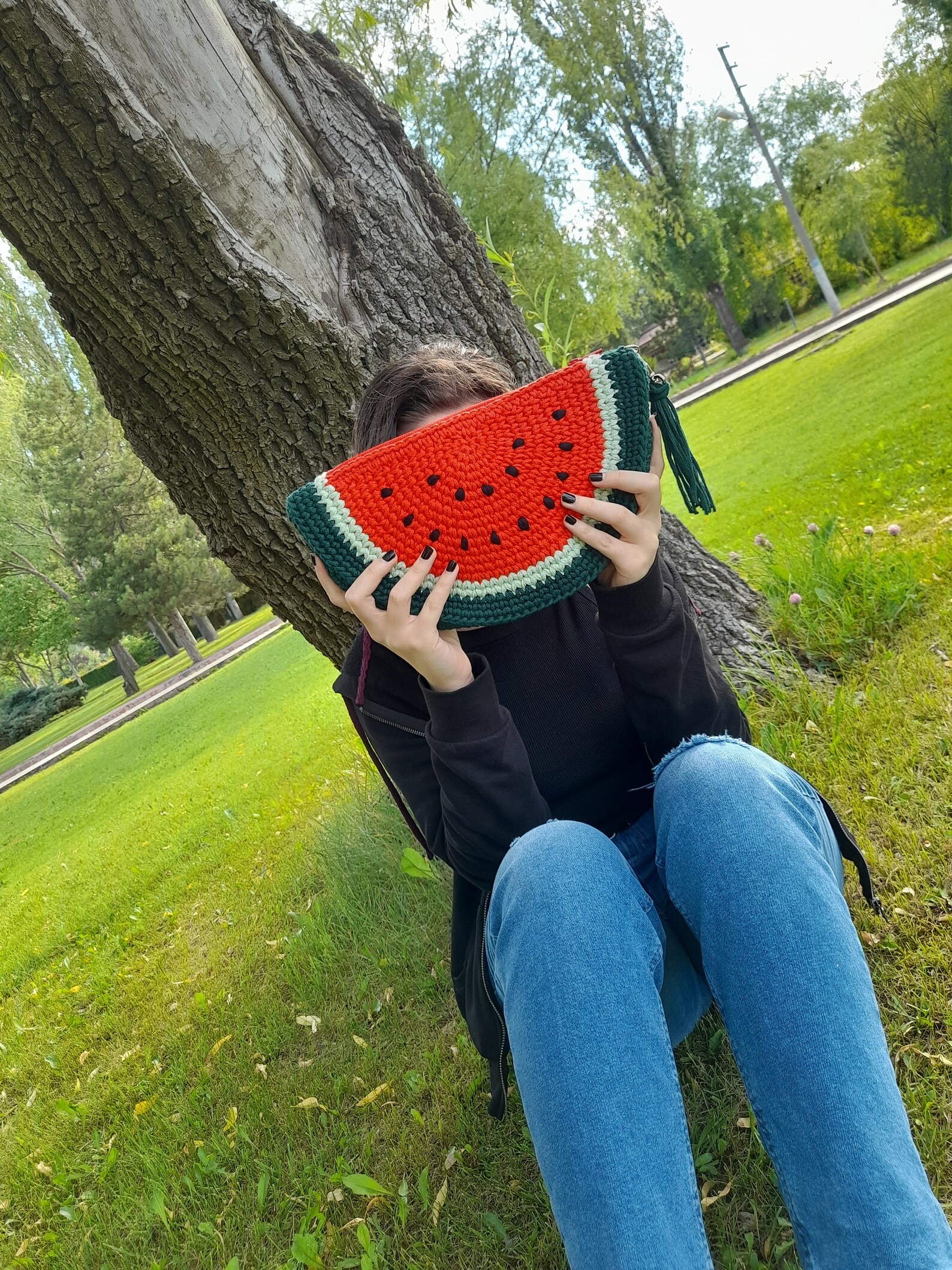 Watermelon Pattern Knit Bag Crochet Bag Tutorial Zipper Crochet Knit ...