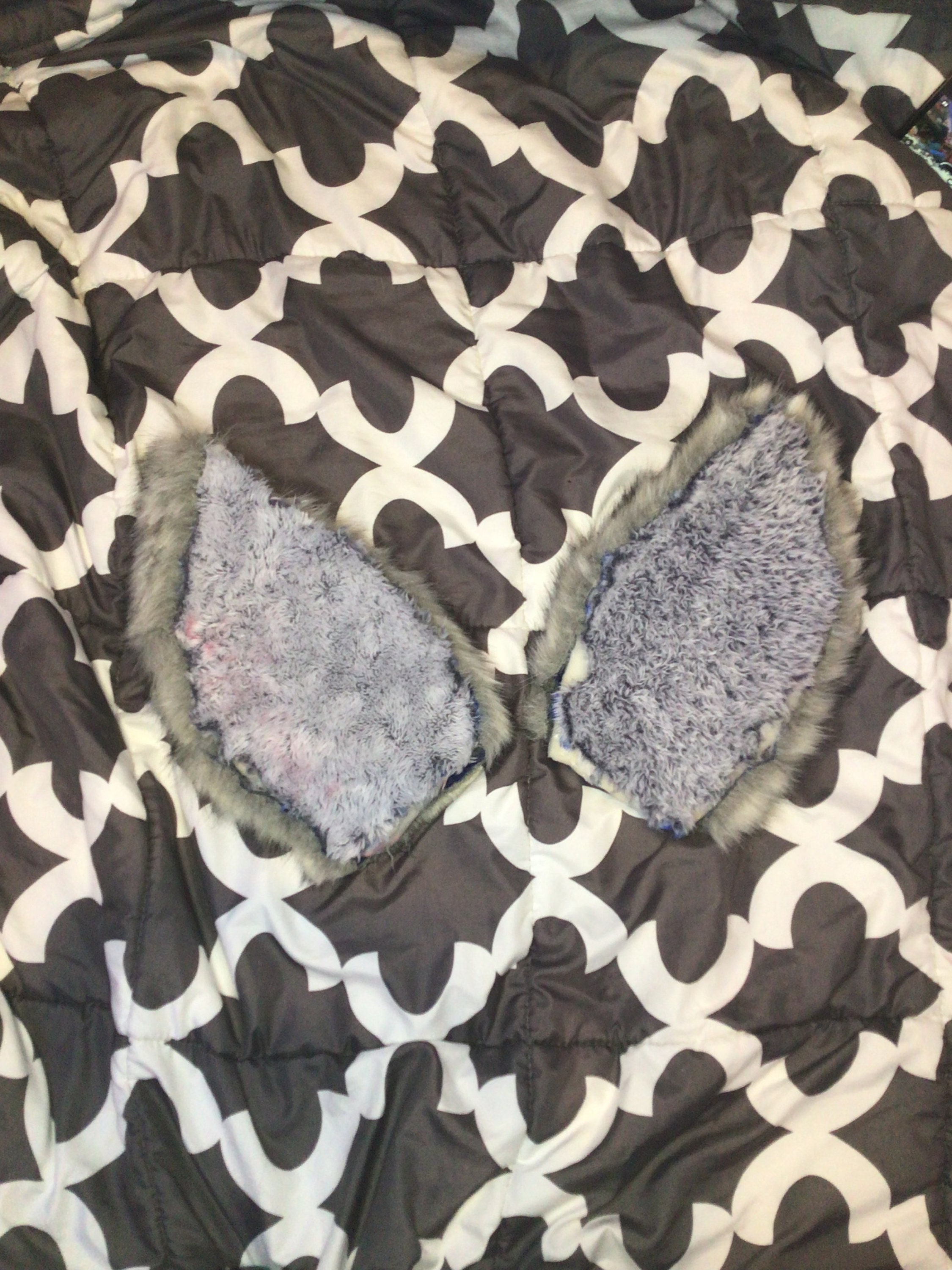 Gray Fluffy Dino Mask Fursuit Ears - Etsy