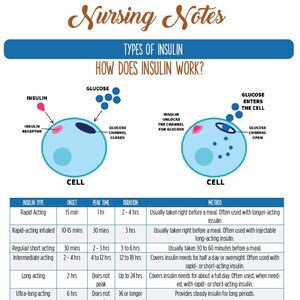 Types of Insulin - Etsy