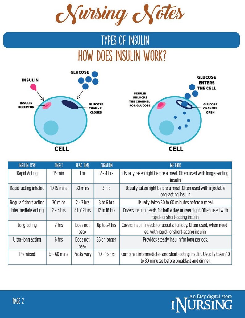 Types of Insulin - Etsy
