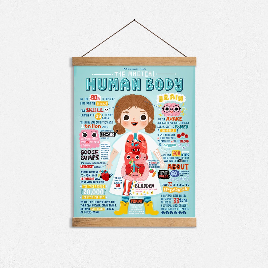 The Magical Human Body - Etsy
