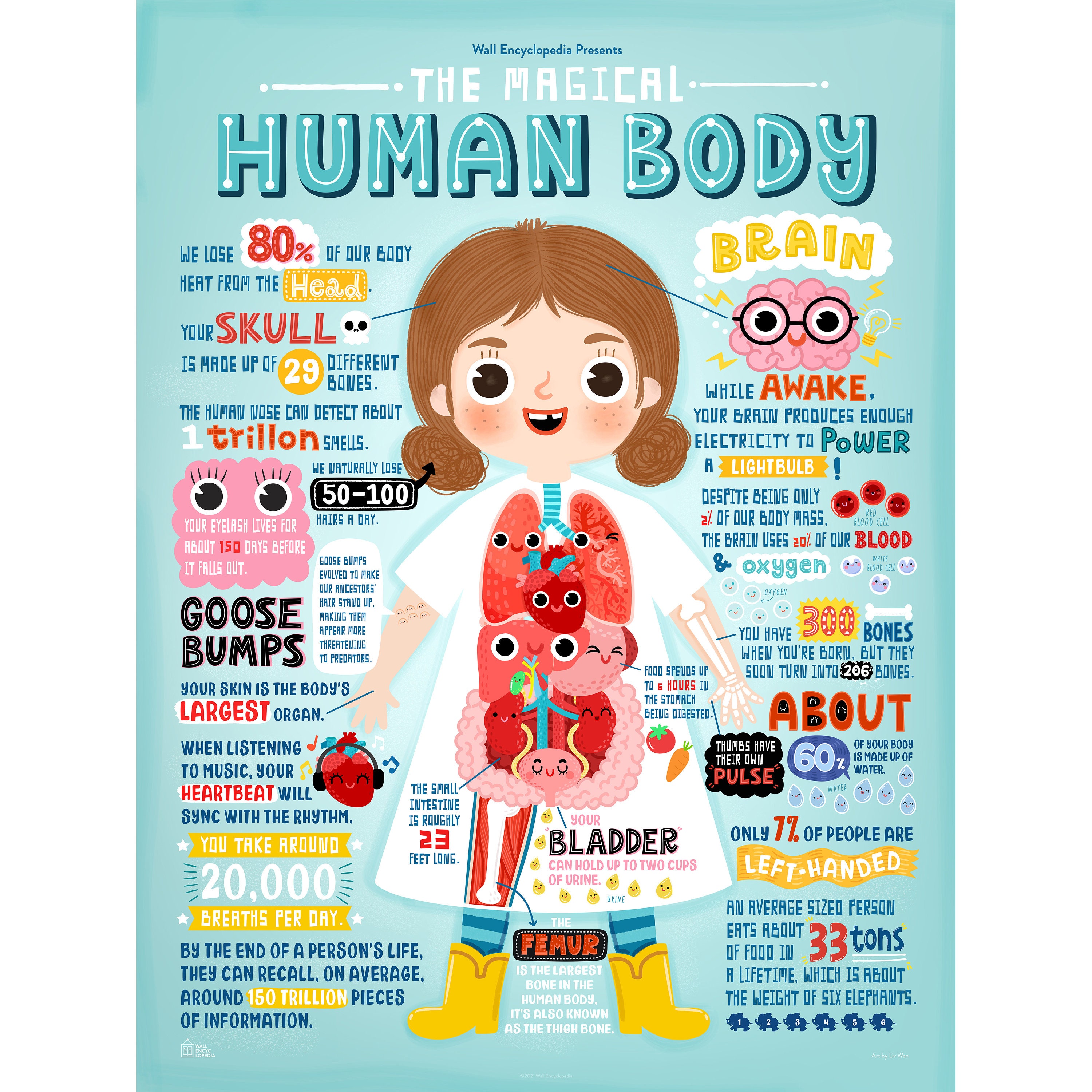 The Magical Human Body - Etsy