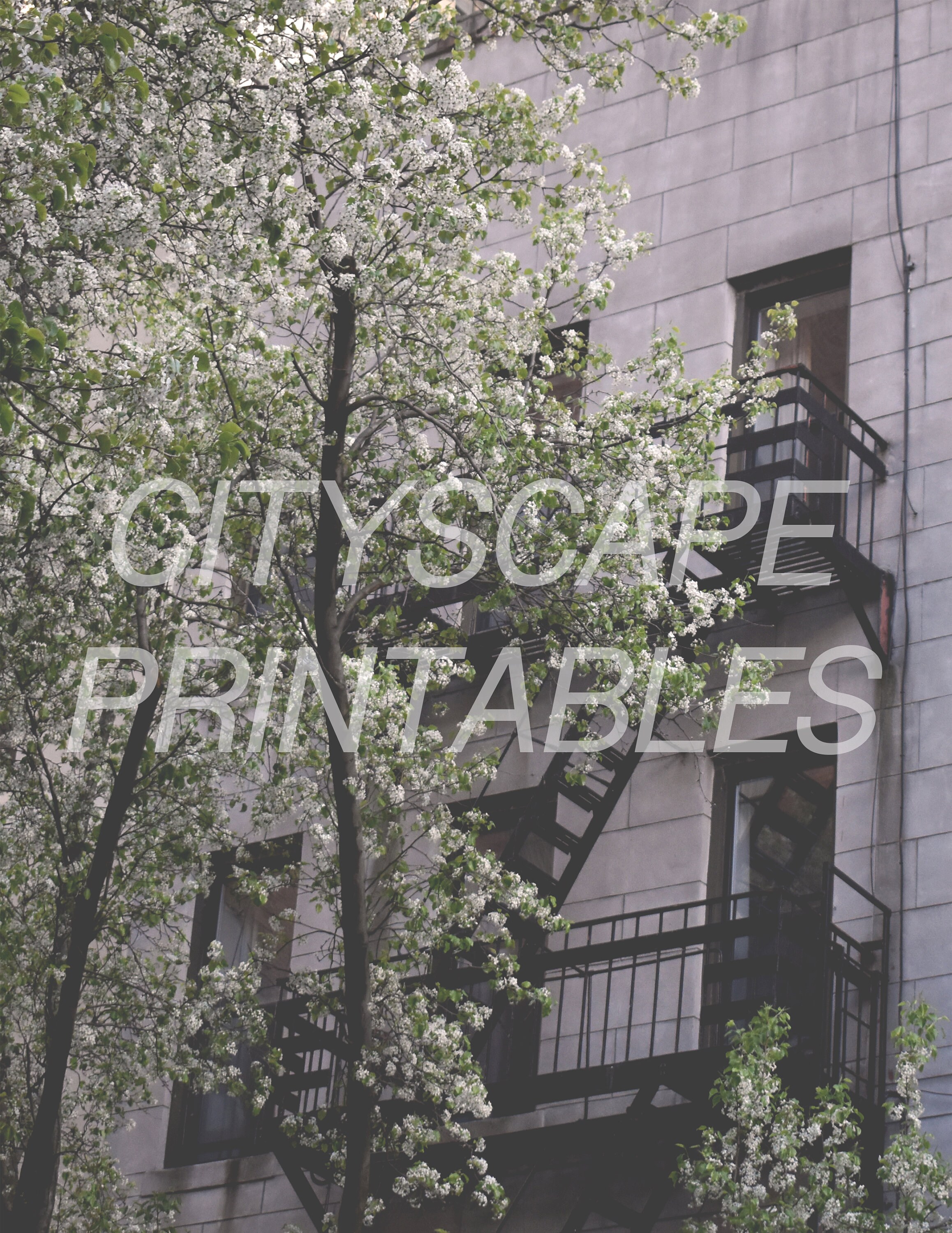 New York City Photography, New York City Spring Decor, New York City ...