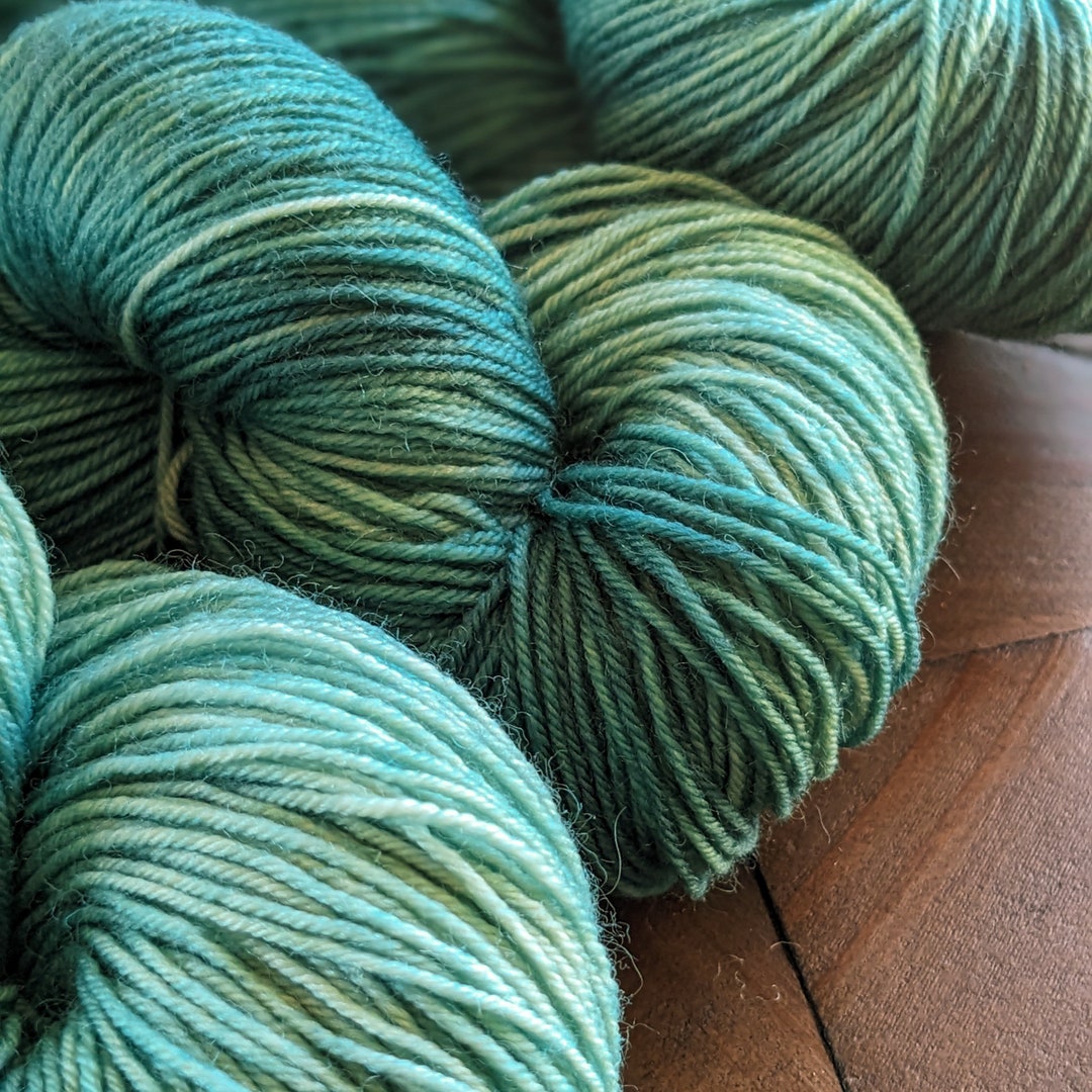 Hand Dyed BFL Sock/fingering Weight Yarn in Robin's Egg - Etsy
