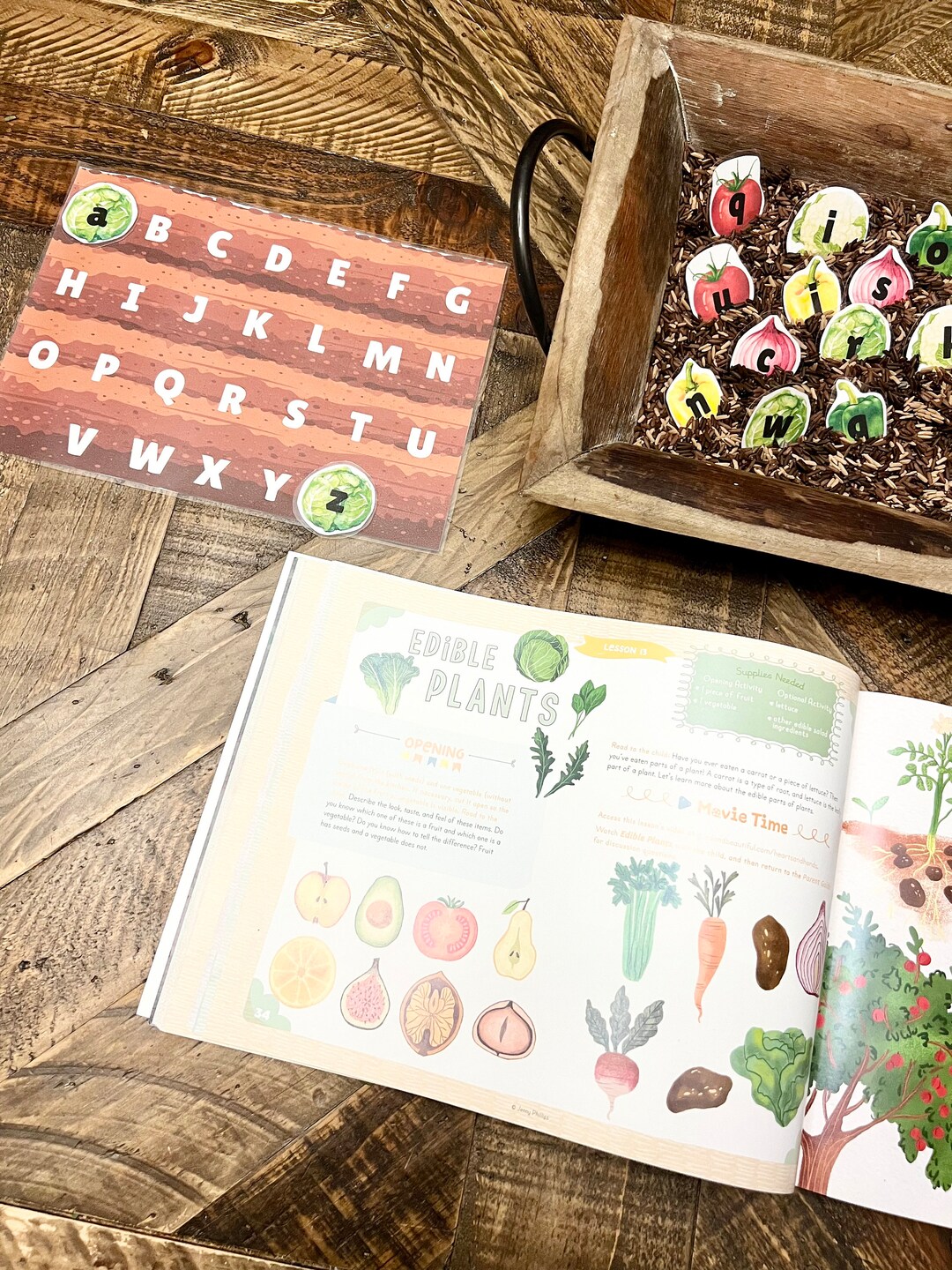 Prek Garden Activity, Letters & Numbers, Gardening Activity - Etsy