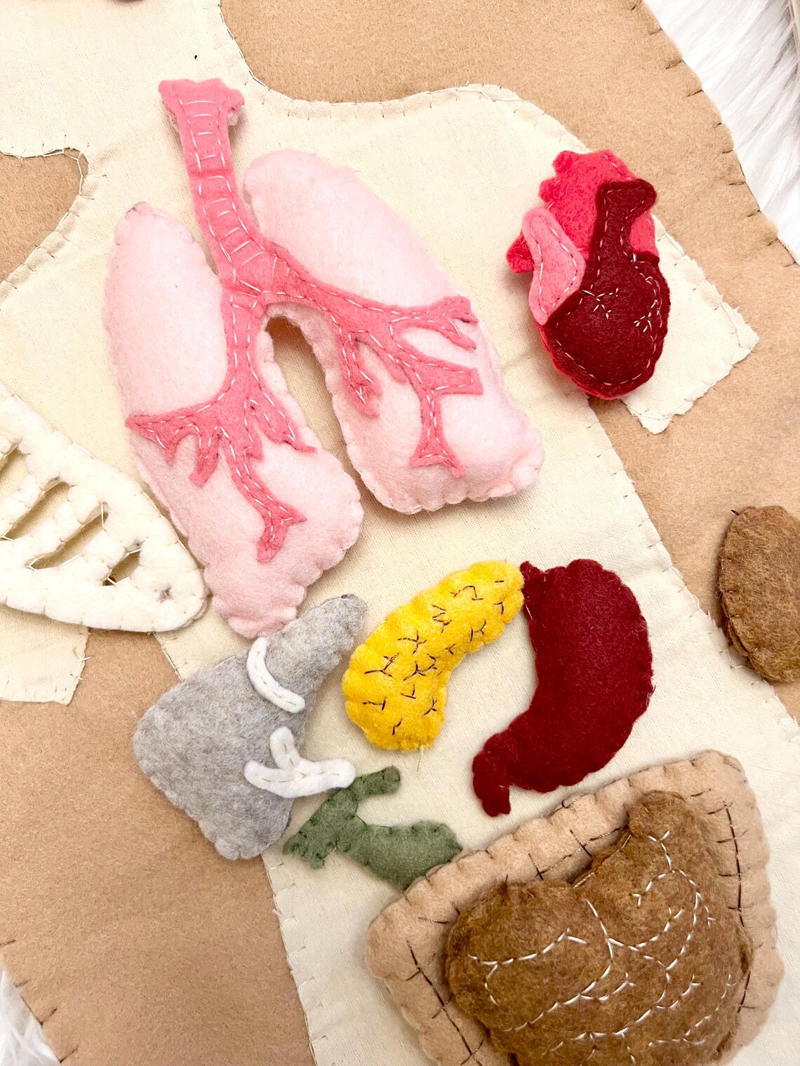 Human Anatomy Feltie Set, Human Anatomy , Human Body Feltie Set ...