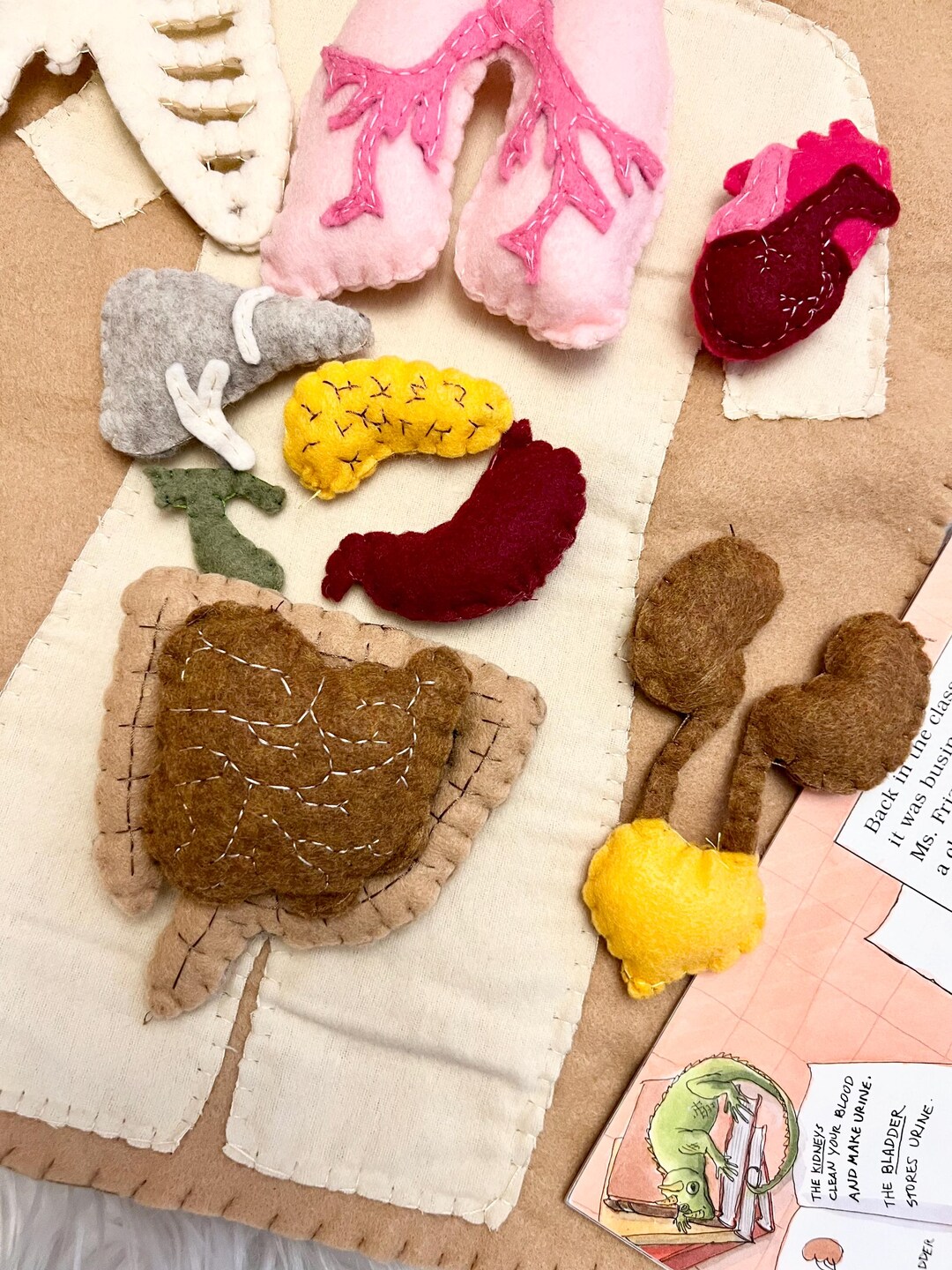 Human Anatomy Feltie Set, Human Anatomy , Human Body Feltie Set ...