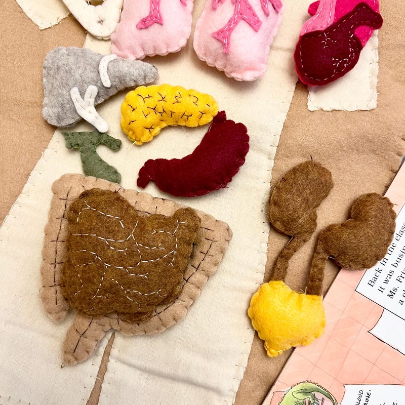 Human Body Felt - Etsy