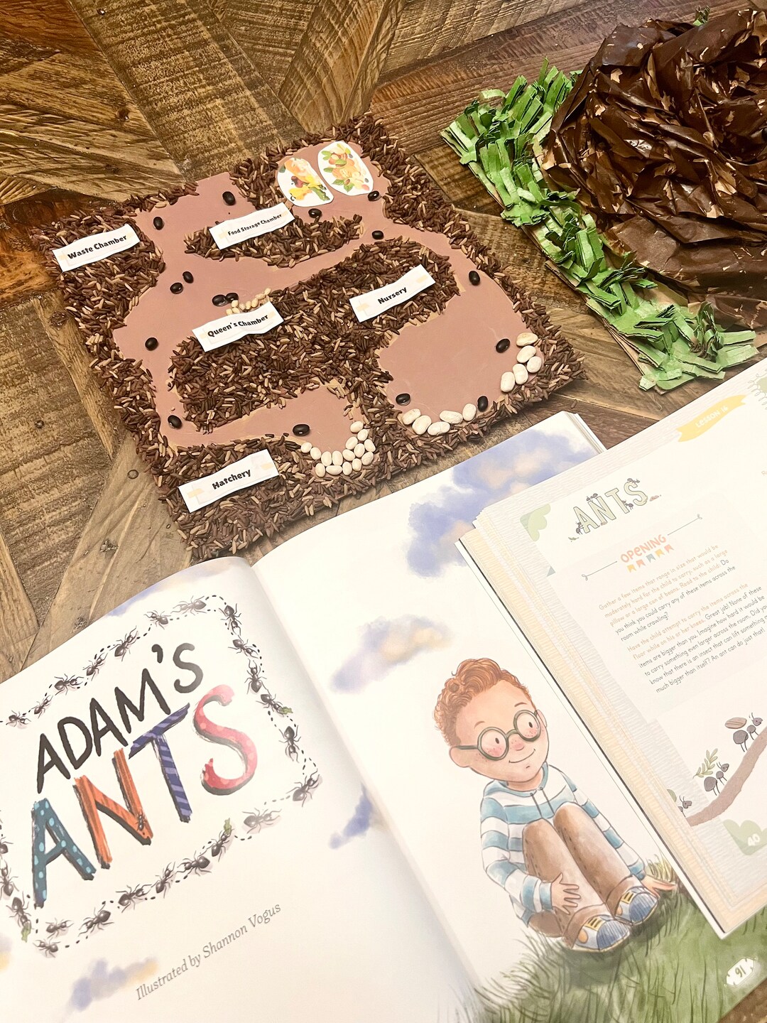 Ant Mini Unit, Ants, Ant Learning Activity, Prek - Etsy