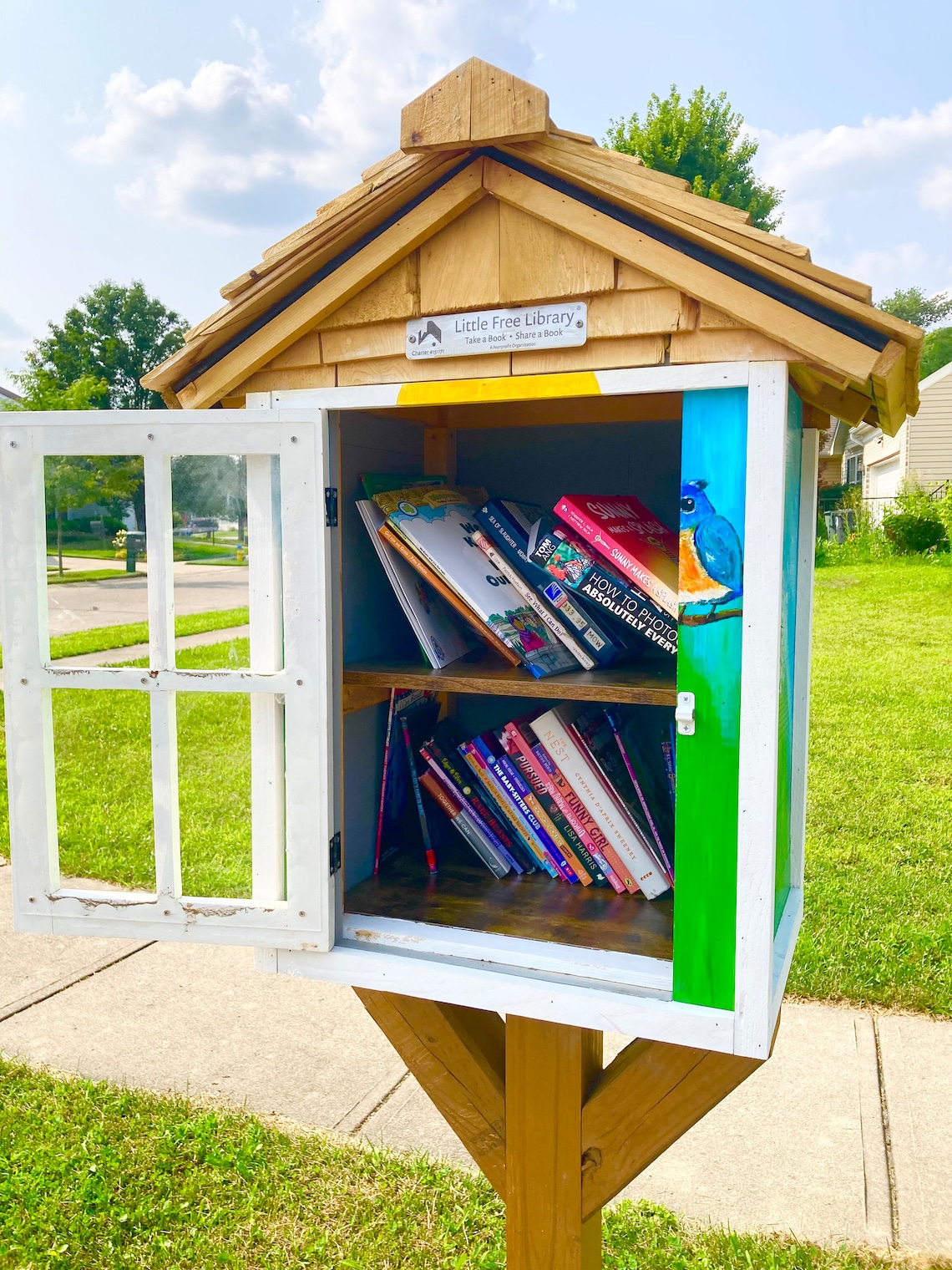 Little Free Library Pantry Book Share Woodworking Plan Easy - Etsy