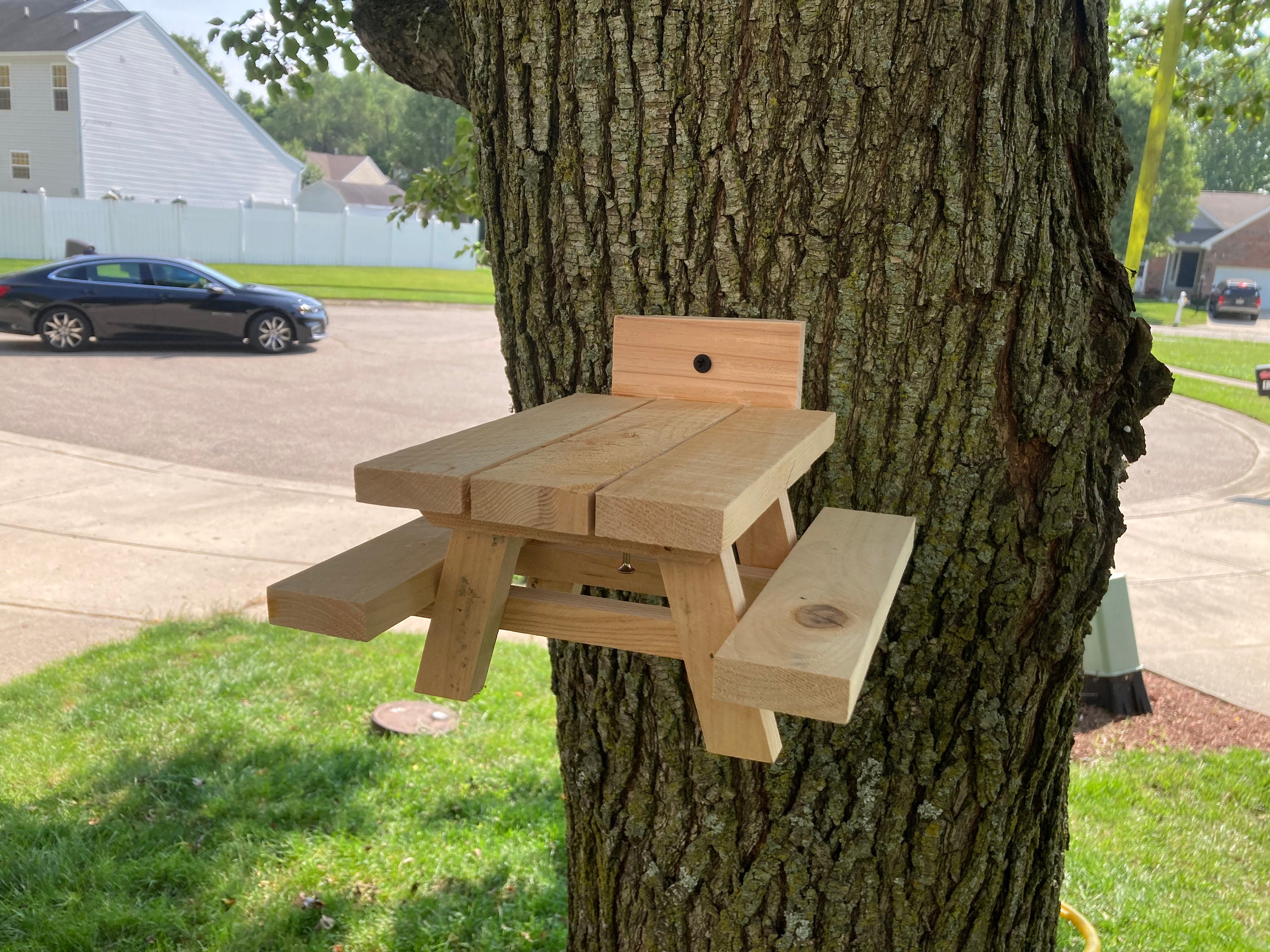 Squirrel Picnic Table Plan Instructions- Garden Decoration Plans ...