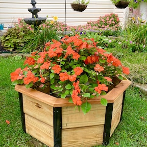 Octagon Eight-sided Garden Planter Plans / Raised Planter Box Plans ...