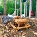 Chicken Picnic Table Chicnic Plan Instructions- Garden Decoration Plans ...