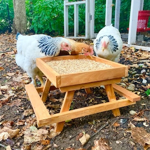 Chicken Picnic Table Chicnic Plan Instructions- Garden Decoration Plans ...
