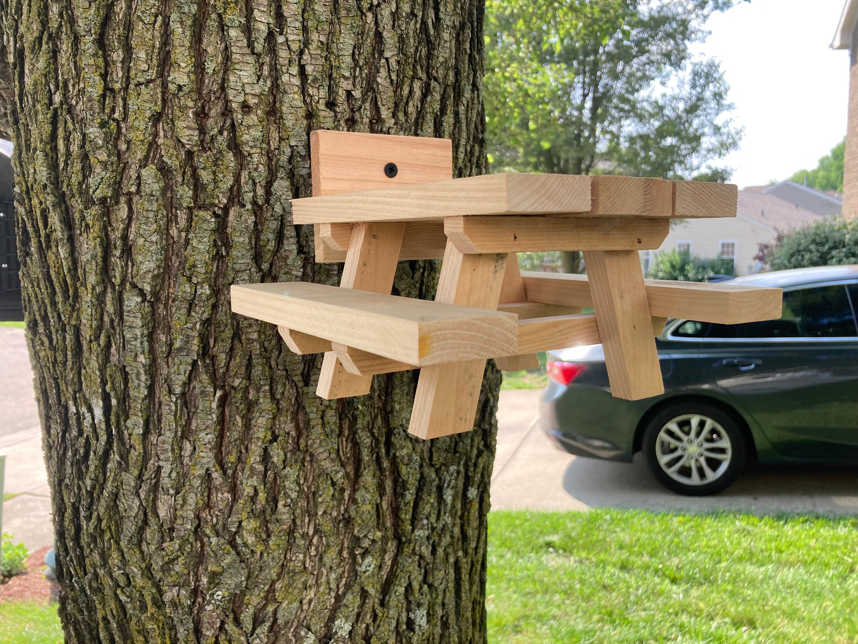 Squirrel Picnic Table Plan Instructions- Garden Decoration Plans ...