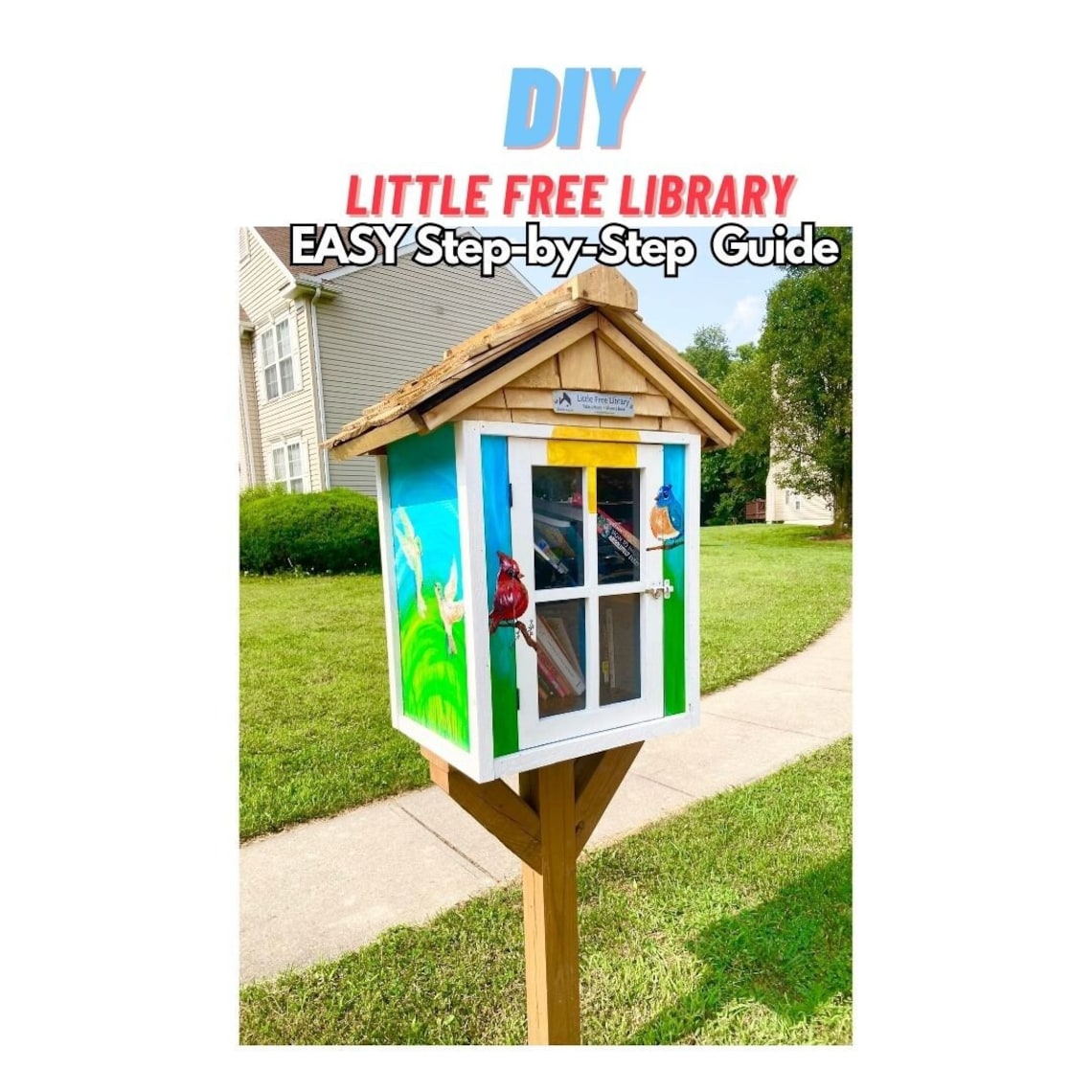 Little Free Library Pantry Book Share Woodworking Plan Easy - Etsy