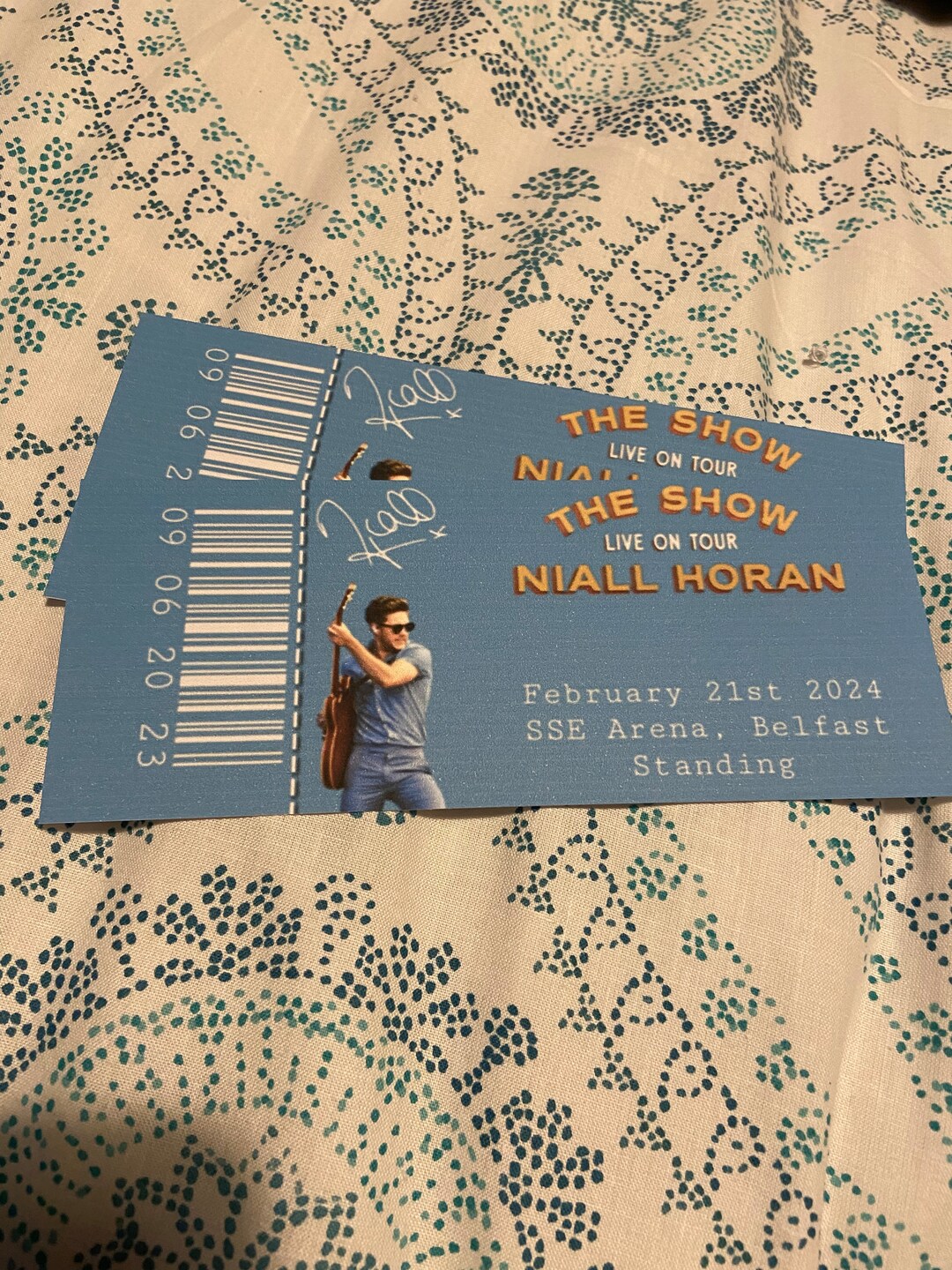 Niall Horan the Show Tour Ticket Keepsake - Etsy UK