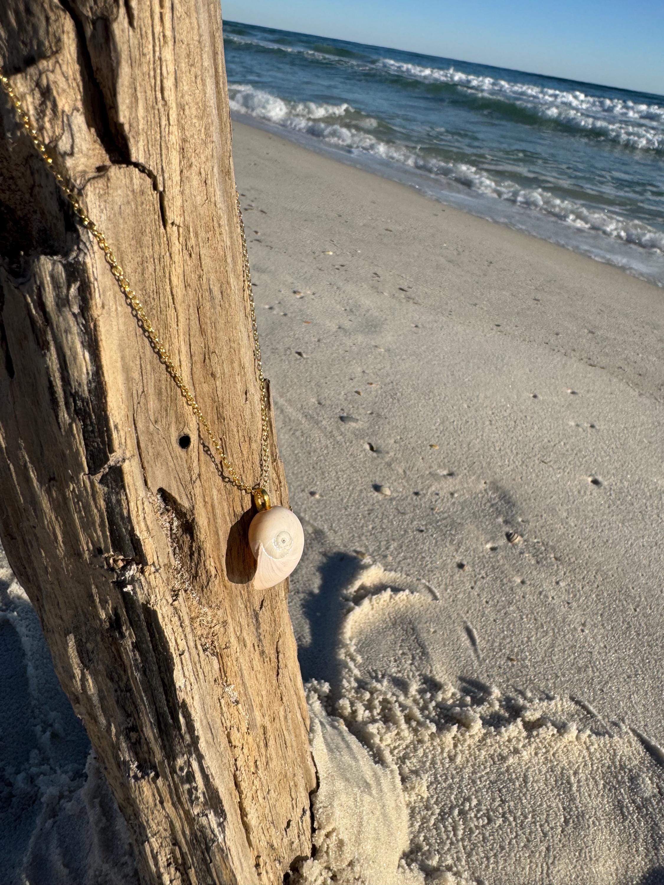 Moon Snail Shell Necklace | Gold Beach Jewelry | Natural Seashell ...