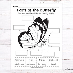 Butterfly Activity Packet | Butterfly Life Cycle for Kids Bundle - Etsy ...
