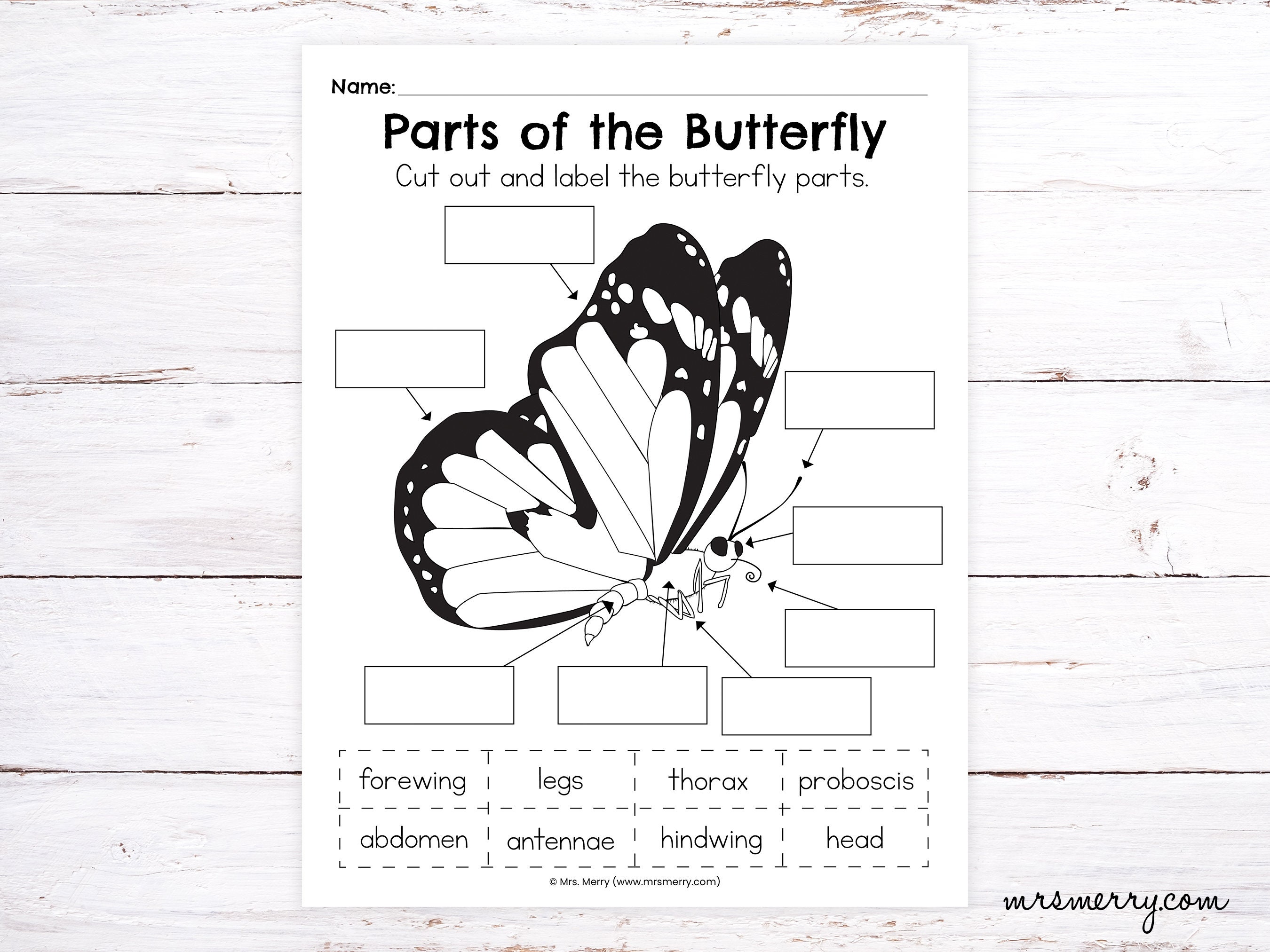 Butterfly Activity Packet | Butterfly Life Cycle for Kids Bundle - Etsy ...