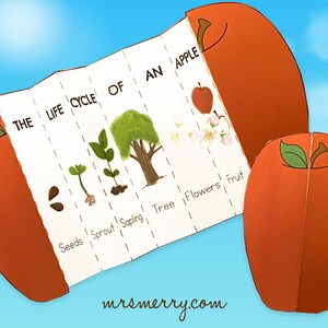 Life Cycle of an Apple Foldable | Apple Craft Activity for Kids ...