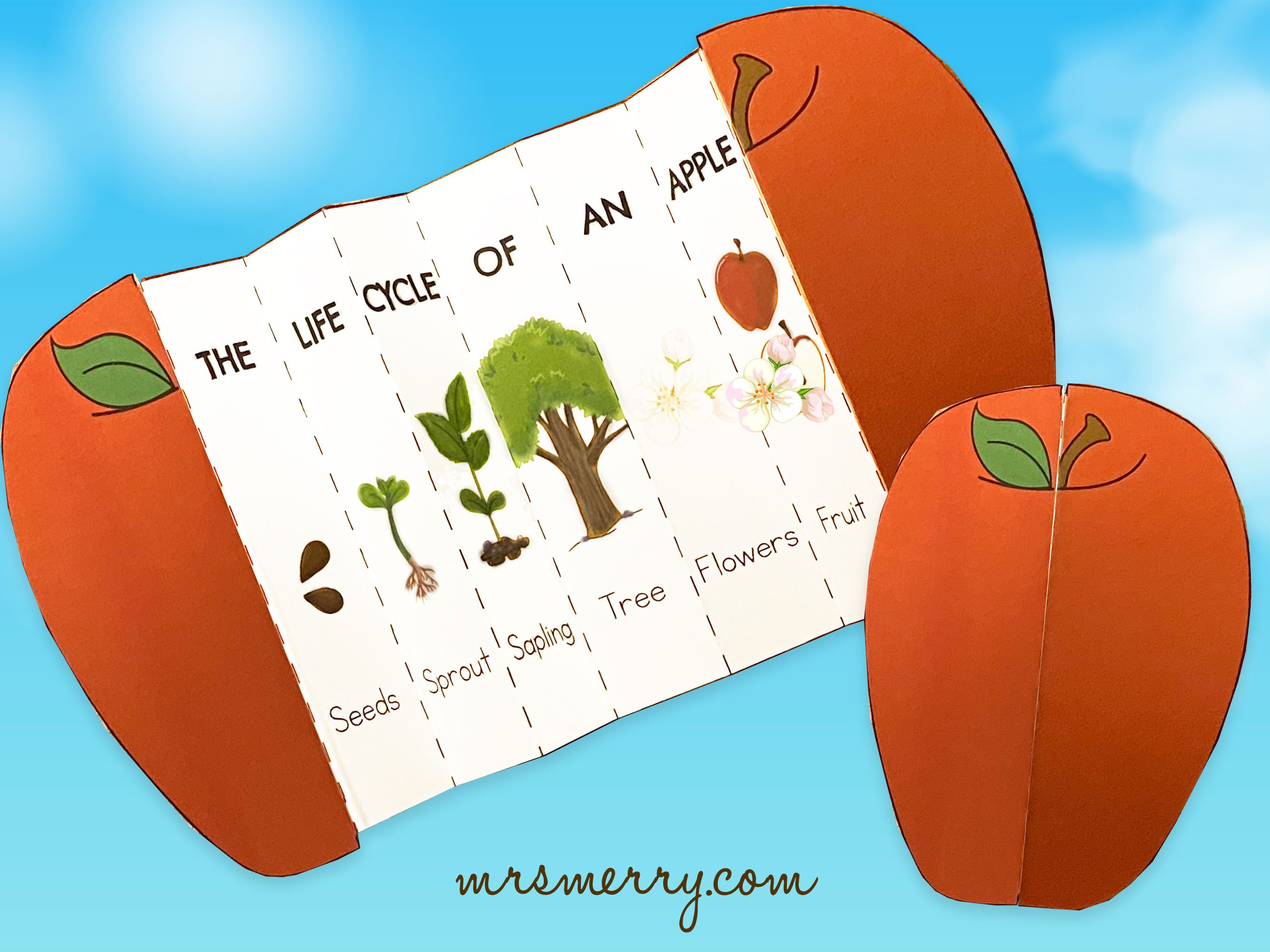 Ciclo De Vida De Una Manzana Para Imprimir Pdf De Raíz® [Compost,