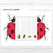Lifecycle of a Ladybug Foldable Template, Ladybird Kids Craft, Kids ...