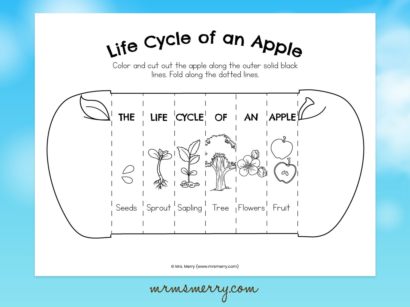 Life Cycle of an Apple Foldable | Apple Craft Activity for Kids ...