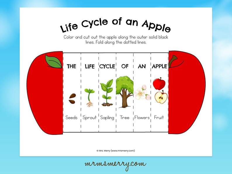 Life Cycle of an Apple Foldable | Apple Craft Activity for Kids ...