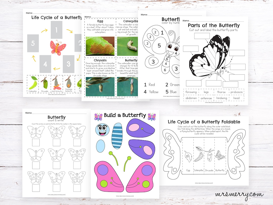 Butterfly Activity Packet | Butterfly Life Cycle for Kids Bundle - Etsy