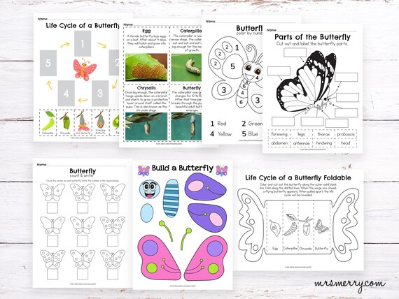 Butterfly Activity Packet Butterfly Life Cycle for Kids | Etsy