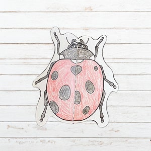 Lifecycle of a Ladybug Foldable Template, Ladybird Kids Craft, Kids ...