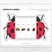 Lifecycle of a Ladybug Foldable Template, Ladybird Kids Craft, Kids ...