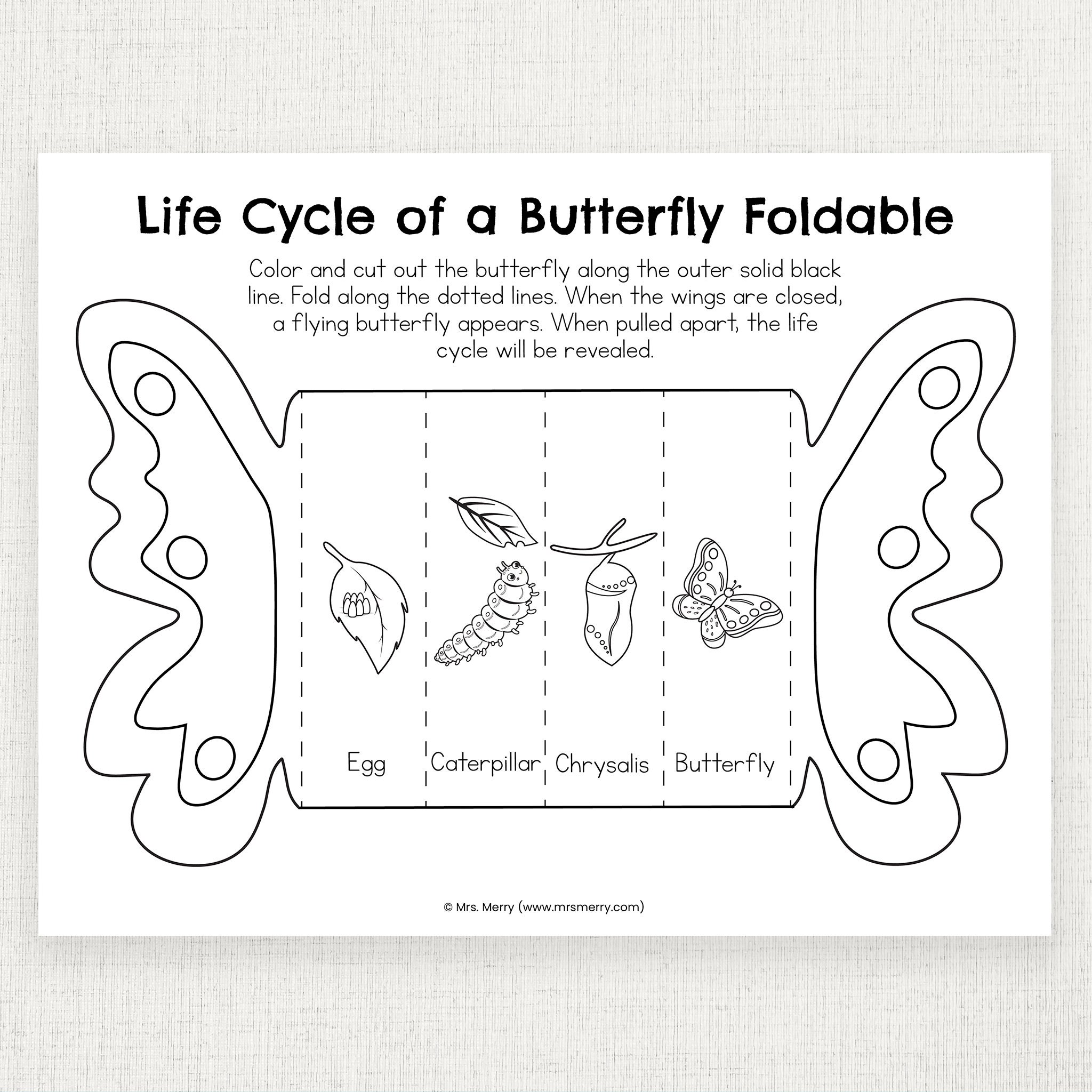 Butterfly Activity Packet Butterfly Life Cycle for Kids Bundle - Etsy ...