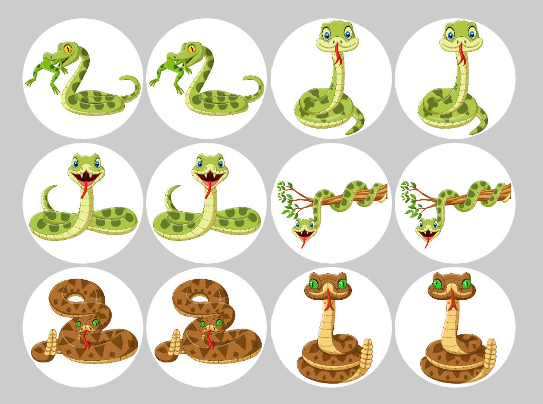 Snake Edible Cake Topper, Reptile Pre-cut Edible Icing Image Cupcake or ...