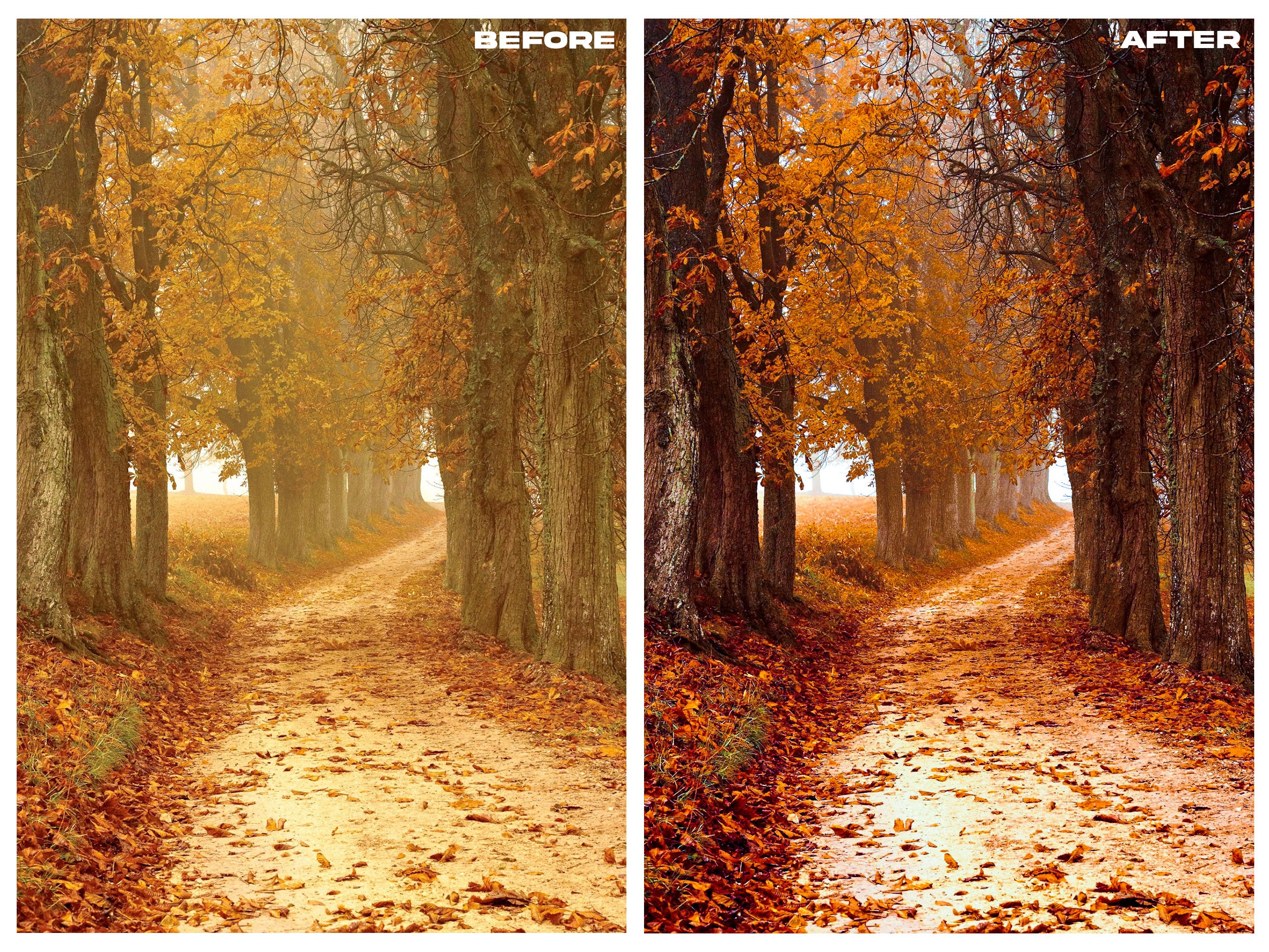 Lightroom Presets for Nature Lightroom Overlay Overlay - Etsy