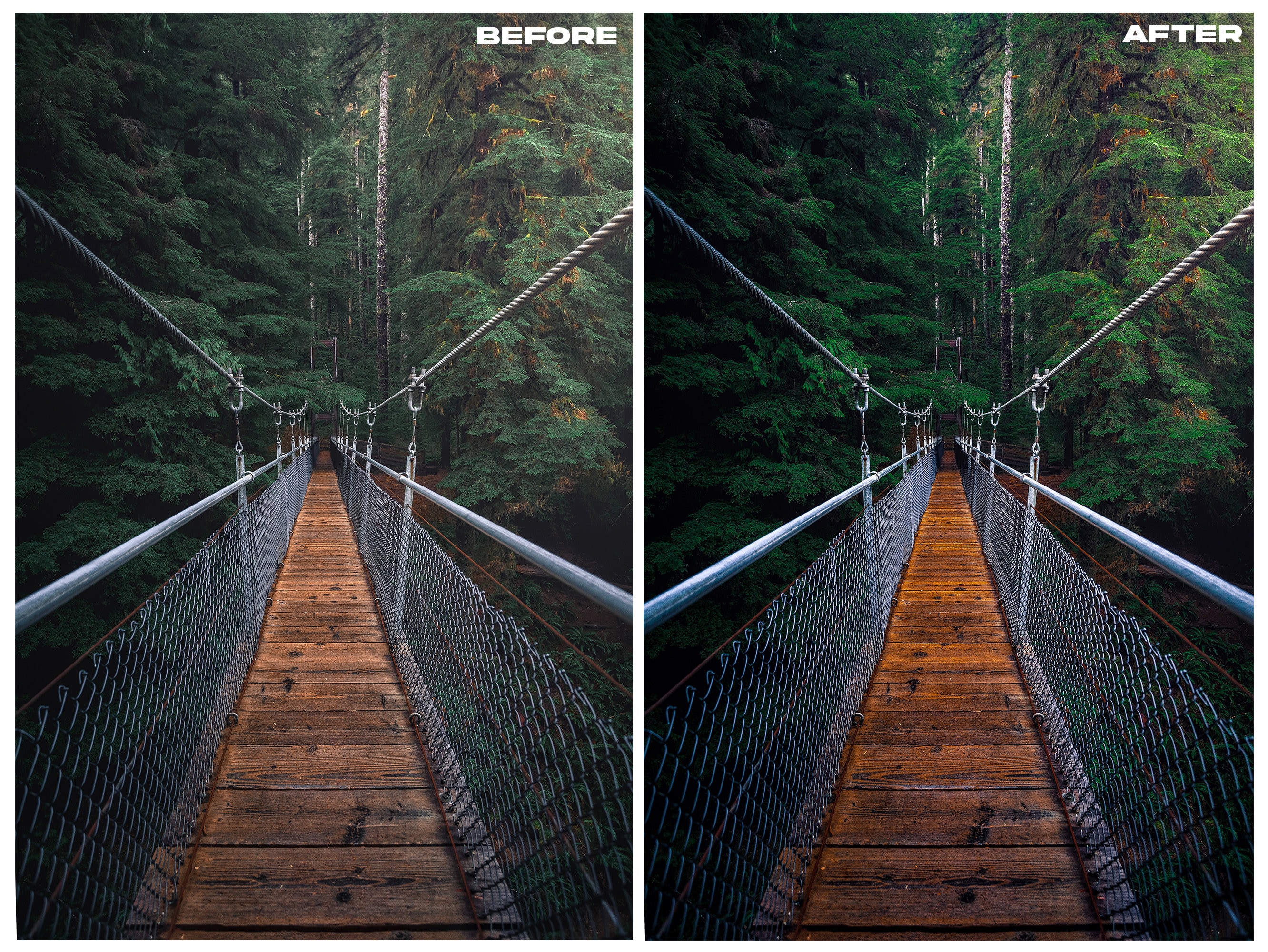 Lightroom Presets for Nature Lightroom Overlay Overlay - Etsy