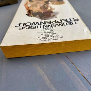 Steppenwolf by Herman Hesse sixth Printing, 1969 - Etsy