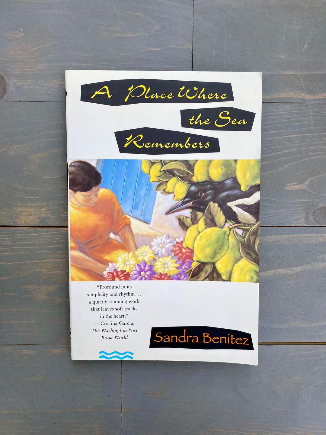 A Place Where the Sea Remembers: A Novel by Sandra Benitez - Etsy