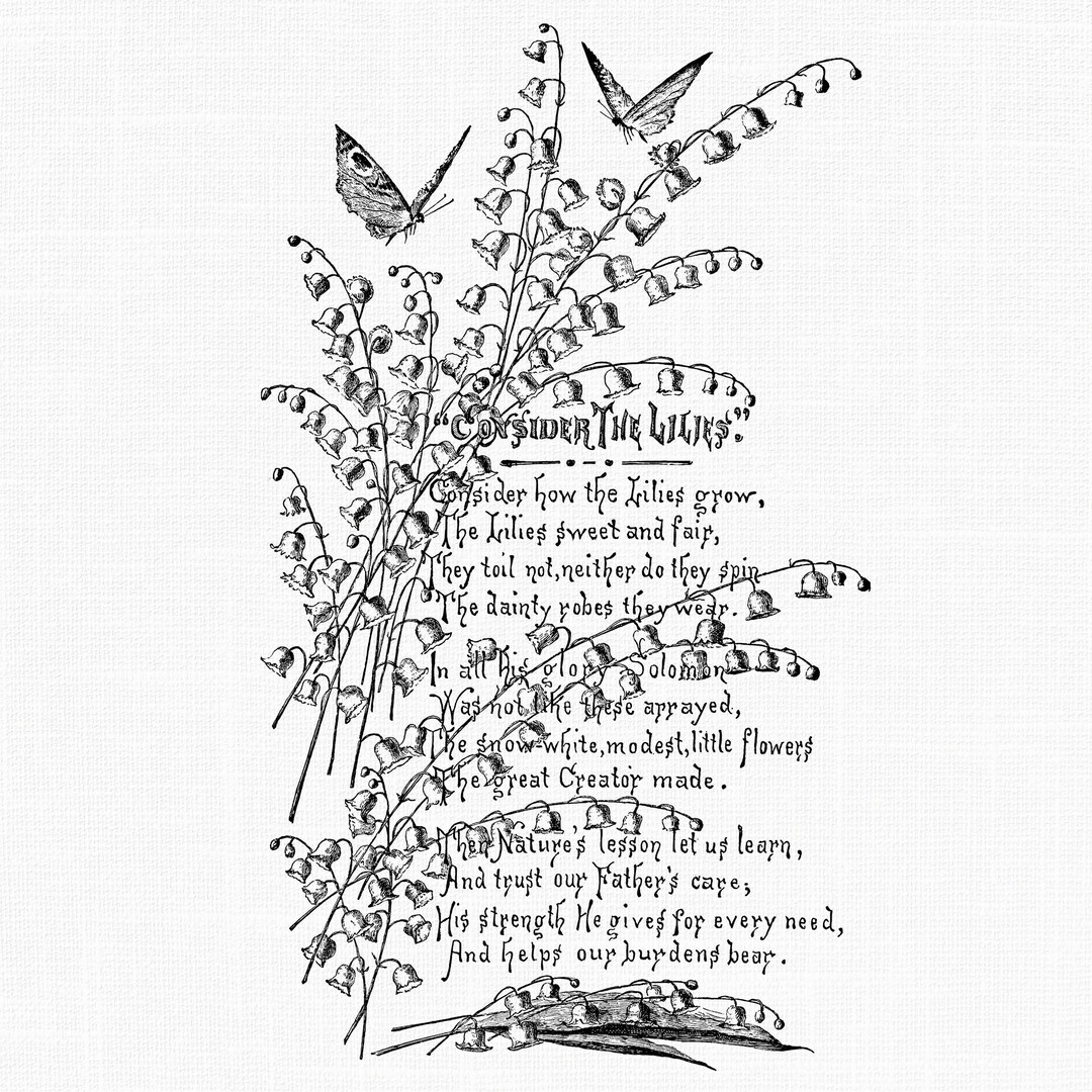 Lily of the Valley Poem Clipart Graphic, "consider the Lilies" Vintage ...