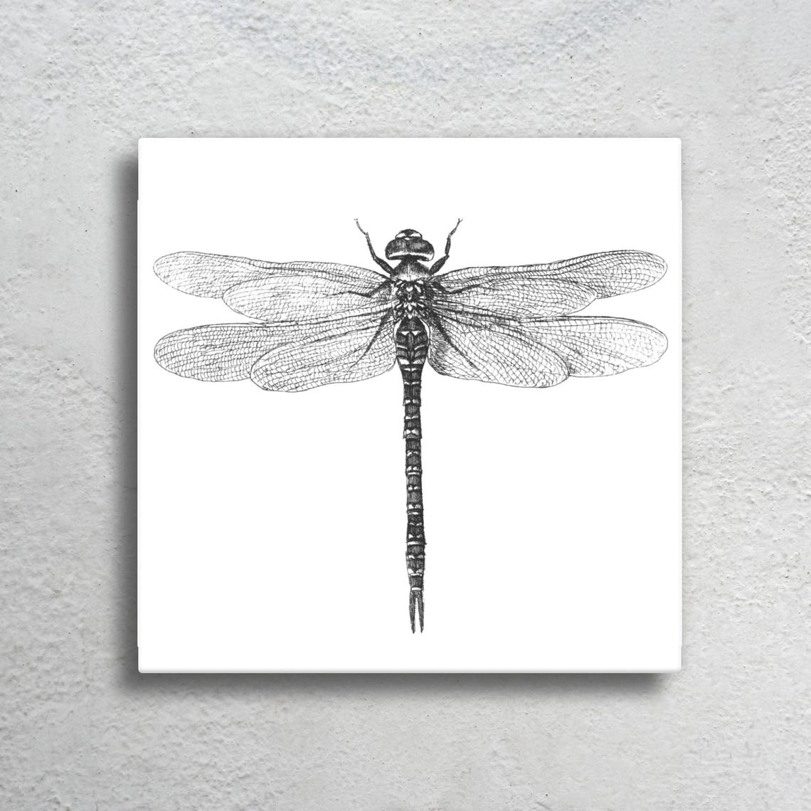 Antique Dragonfly Etching: Printable Insect Clipart (PNG Digital ...