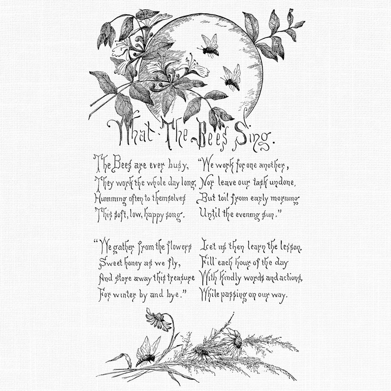 Vintage Bees Poem Clipart: Hand-drawn PNG Graphic (digital Download ...
