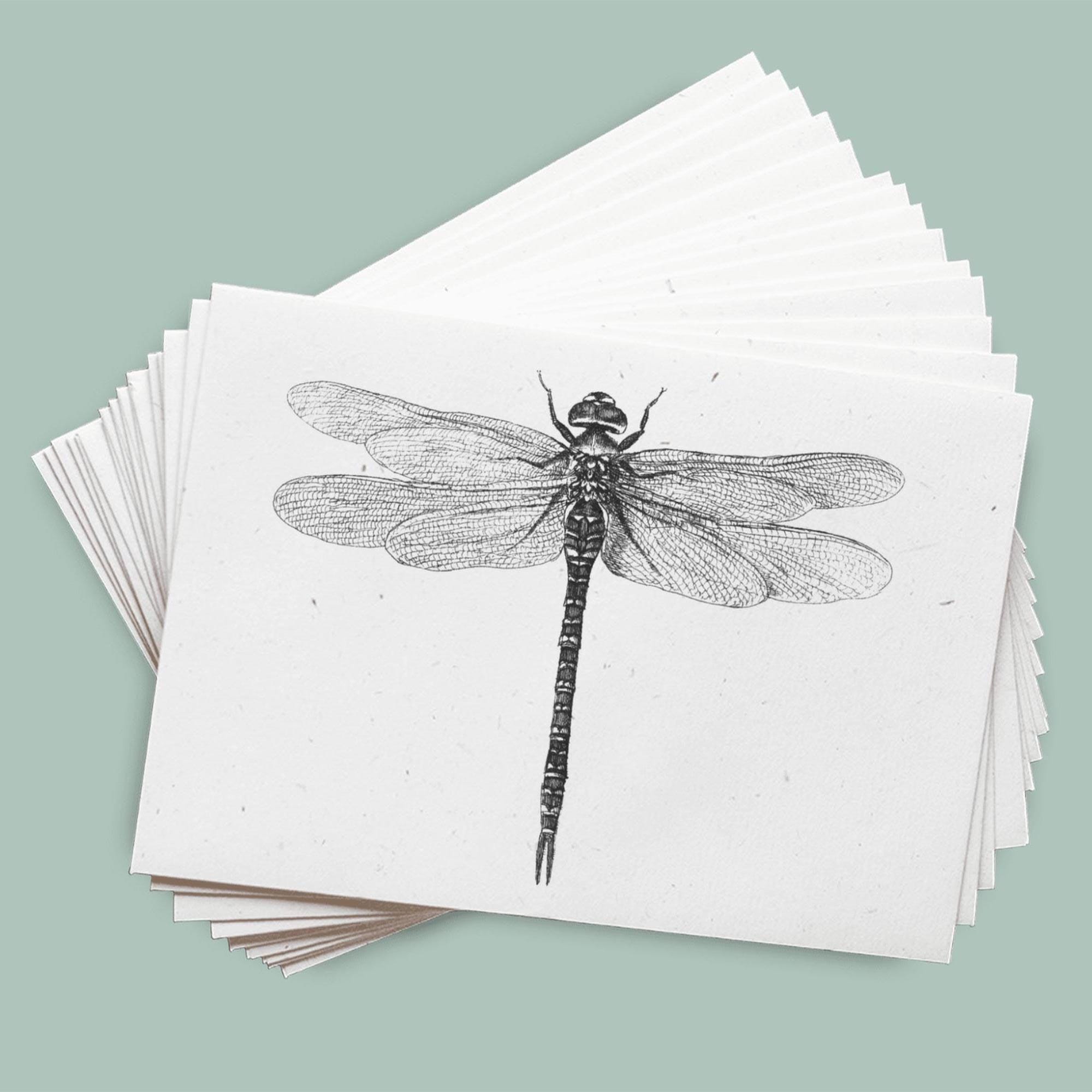 Antique Dragonfly Etching: Printable Insect Clipart (PNG Digital ...