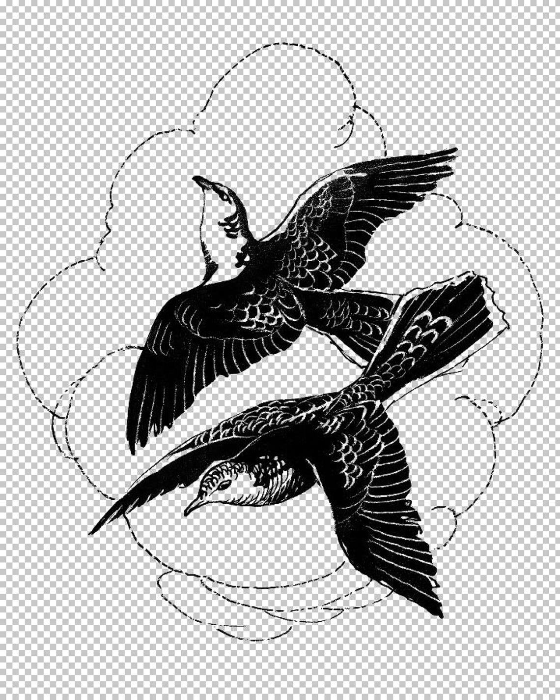 Vintage Turtle Doves Clipart: Transparent PNG File for Crafts (digital ...