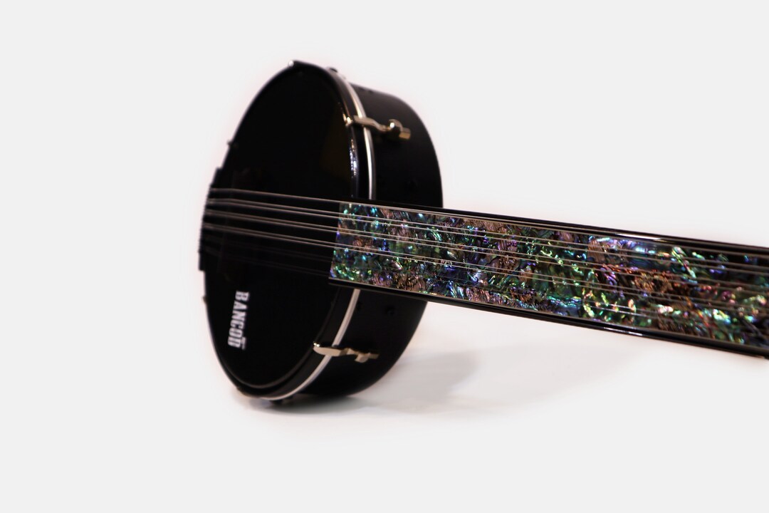 Custom Seashell Fretless Banjo - Banjo Oud - Banjo - Bancod - Cumbus ...
