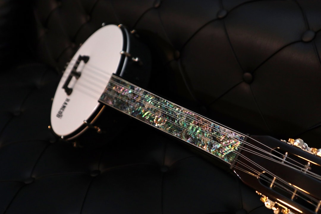 Custom Seashell Fretless Banjo - Banjo Oud - Banjo - Bancod - Etsy