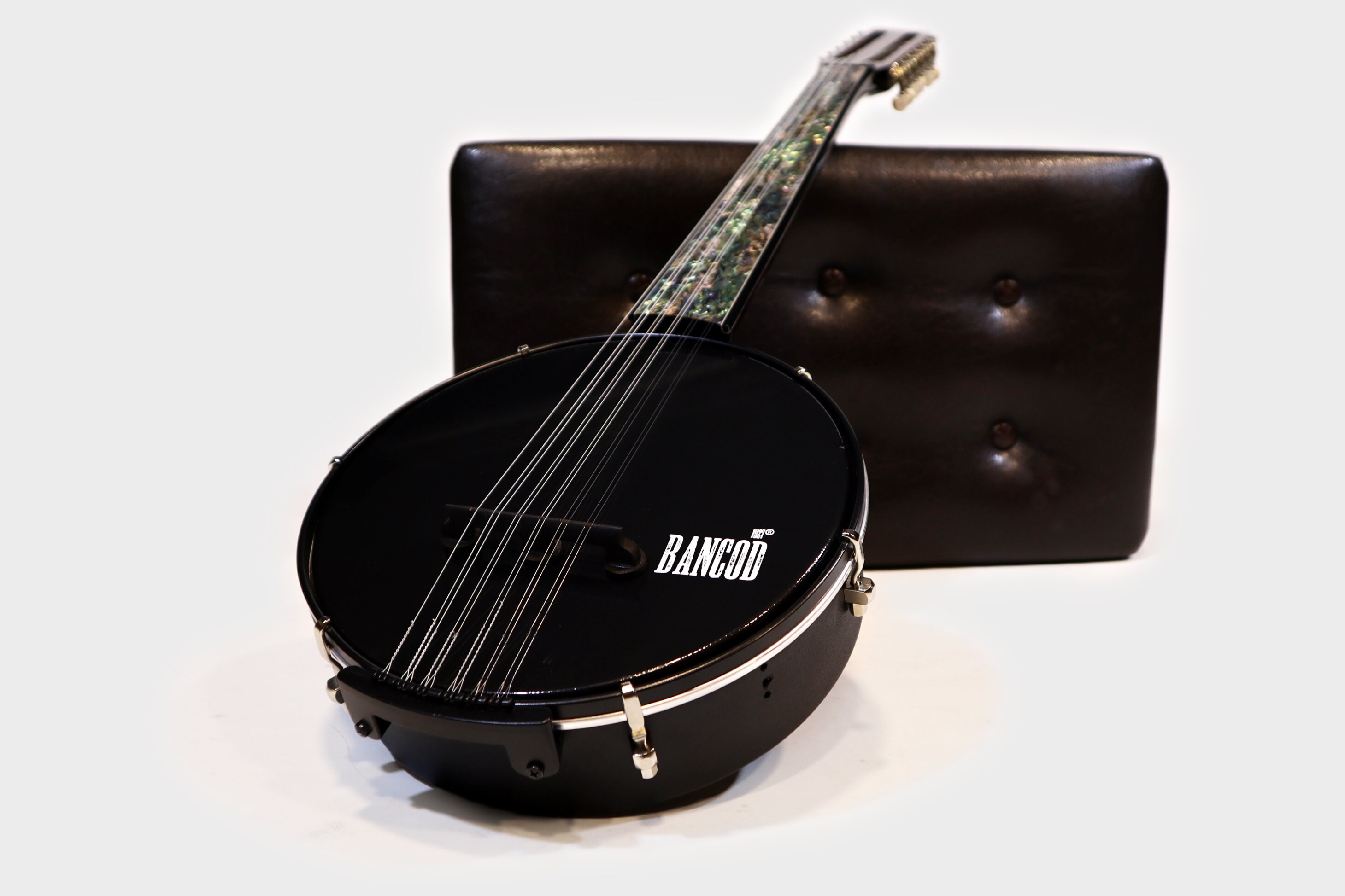 Custom Seashell Fretless Banjo - Banjo Oud - Banjo - Bancod - Cumbus ...