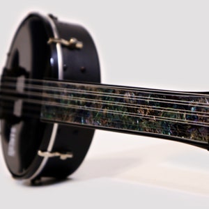 Custom Seashell Fretless Banjo - Banjo Oud - Banjo - Bancod - Cumbus ...