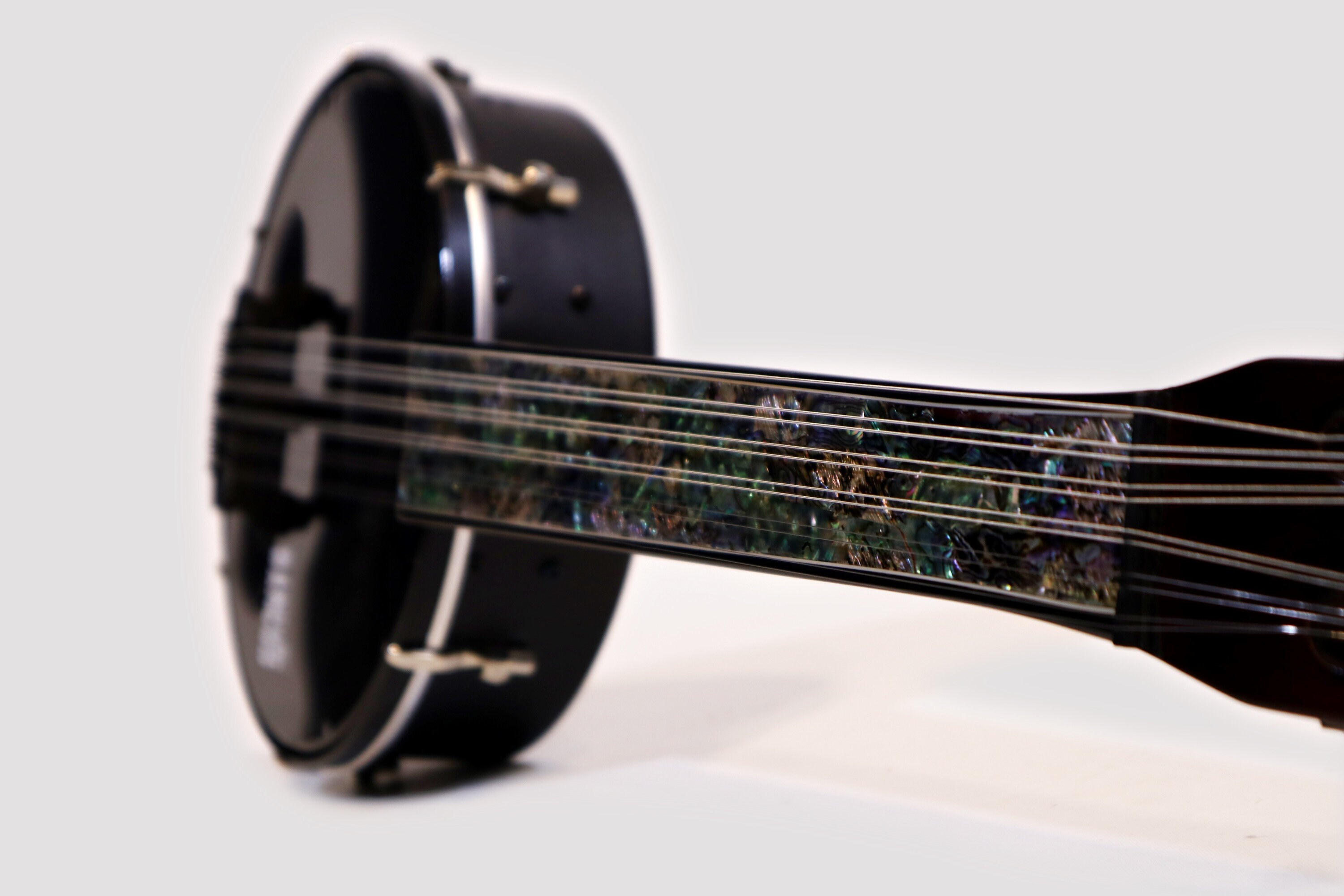 Custom Seashell Fretless Banjo - Banjo Oud - Banjo - Bancod - Cumbus ...