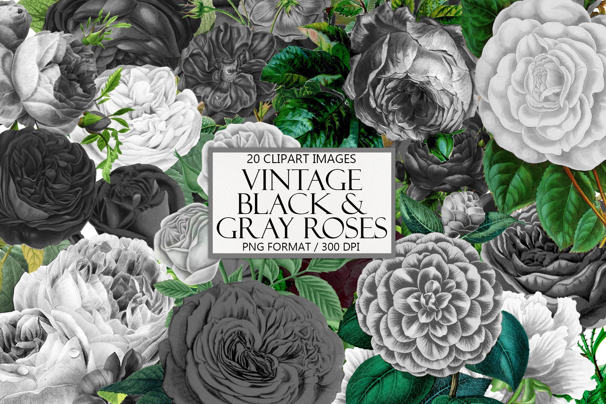 Vintage Rose Clip Art Black